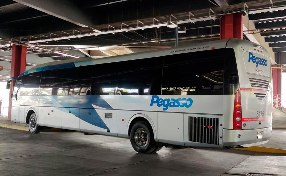 Pegasso autobuses - Compara los horarios y precios de boletos